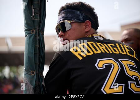 Pittsburgh Pirates Endy Rodriguez (25) hits a single during a spring ...