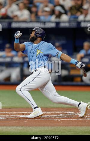 Tampa Bay Rays right fielder Austin Slater (20) against the Los Angeles ...