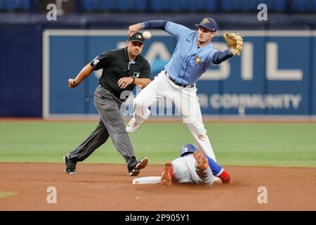 Toronto Blue Jays' Whit Merrifield during a baseball game, Wednesday ...