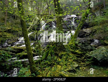 Indian Ladder. Delaware Water Gap. Unknown maker, American Stock Photo ...