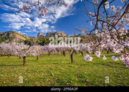 Roques de Benet rocks, in Els Ports Natural Park, on a spring afternoon ...