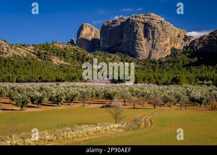 Roques de Benet rocks, in Els Ports Natural Park, on a spring afternoon ...
