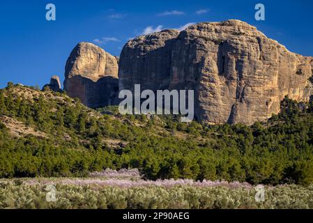 Roques de Benet rocks, in Els Ports Natural Park, on a spring afternoon ...