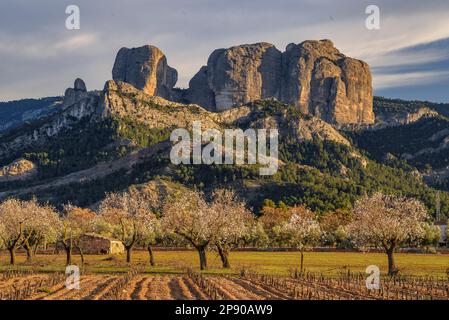 Spring sunset at the Roques de Benet rocks, in Els Ports Natural Park ...