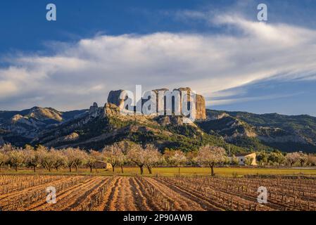 Spring sunset at the Roques de Benet rocks, in Els Ports Natural Park ...