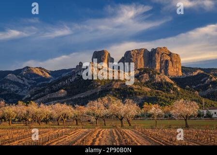 Spring sunset at the Roques de Benet rocks, in Els Ports Natural Park ...