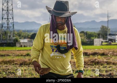 Teresa, Rizal, Philippines. 10th Mar, 2023. Filipino farmer works on a ...