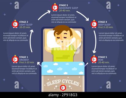 Sleep cycle infographics, vector education diagram, poster Stock Vector ...
