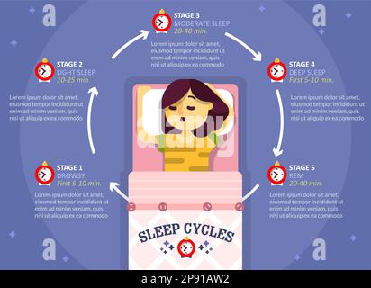 Sleep cycle infographics, vector education diagram, poster Stock Vector ...