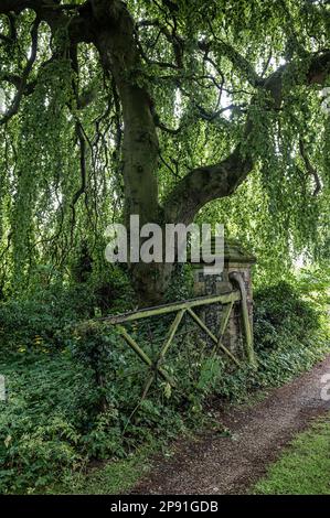 Original gate at Wiveton Hall 17th century Jacobean manor house ...