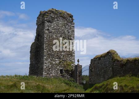 De Courcy, Downmacpatrick or Dunmacpatrick Castle ruins at Old Head of ...