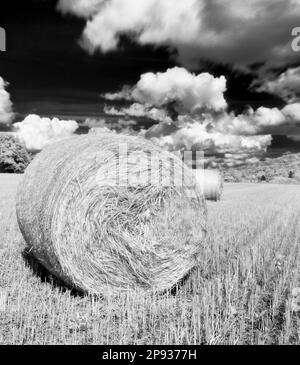 Europe, Germany, Hesse, Central Hesse, Hinterland, Lahn-Dill-Bergland ...