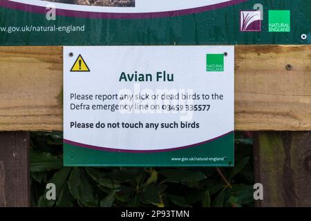 A Natural England sign warning of Avian Flu at the entrance to ...