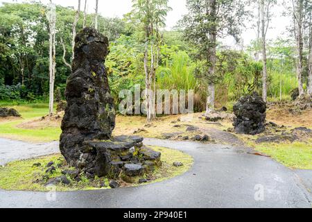 Tree trunks enclosed by lava in Lava Tree State Monument, Big Island ...