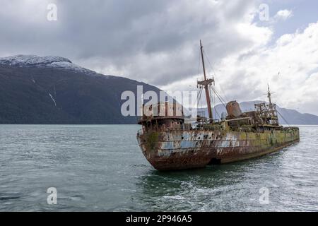Wreck of MV Captain Leonidas, a freighter that ran aground on the Bajo ...