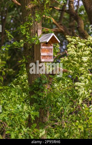 Wooden bird house hanging on a tree branch with green foliage ...