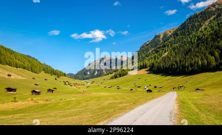 Pfundser Tschey is one of the most beautiful high valleys of Tyrol ...