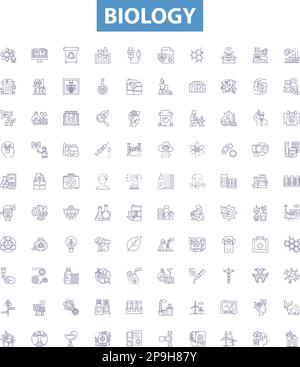 Metabolism line vector icons and signs. Substrate, Respiration, Enzymes ...