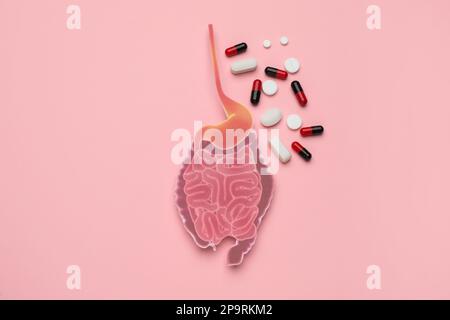 Paper cutout of small intestine and pills on light grey background ...