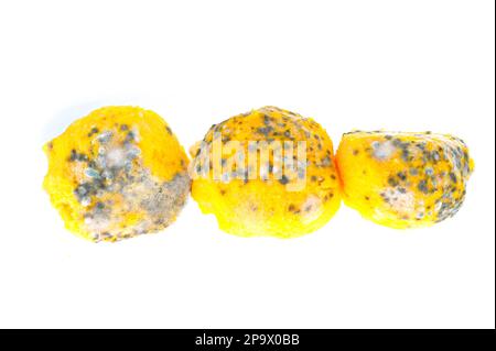 Moldy snacks on a white background Stock Photo - Alamy