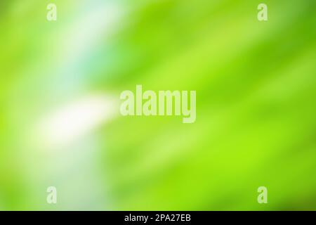 Bokeh green neutral light universal background. Neutral green light ...