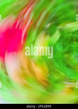 Bokeh background with sparkling of seeds store with garden goods and ...