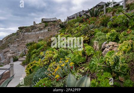 Minack theatre, Cornwall Stock Photo - Alamy