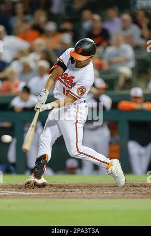 SARASOTA, FL - MARCH 12: Baltimore Orioles second baseman Jordan ...