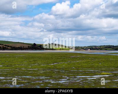 Open seabed after low tide, swamp area. Green hilly landscape. White ...