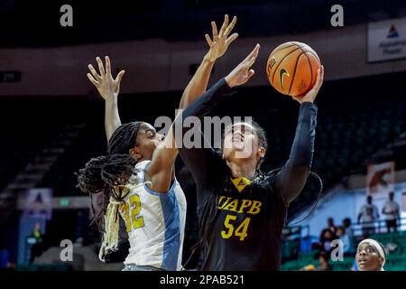 Arkansas-Pine Bluff center Maya Peat (54) puts up a shot around ...