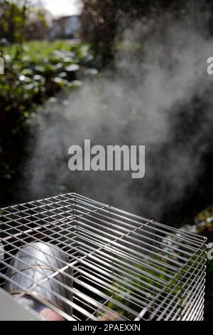 External oil-fired condensing boiler Stock Photo - Alamy