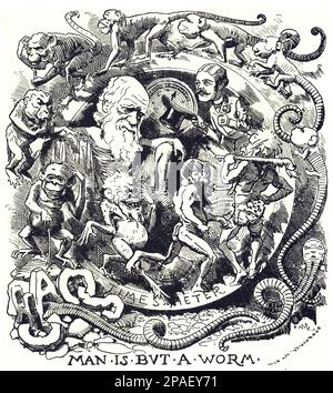 Charles Darwin. Caricature of the British naturalist Charles Darwin ...