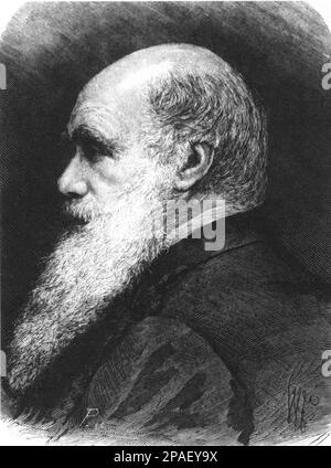 CHARLES ROBERT DARWIN /n(1809-1882). English naturalist. Part of one of ...