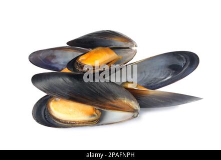 Delicious cooked mussels in shells on white background, top view Stock ...