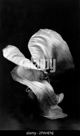 Loie Fuller. Portrait of the American dancer and pioneer of modern ...