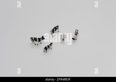 a close up of miniature figures of a herd of cows isolated on white ...