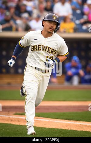 This is a 2023 photo of Tyler Gentry of the Kansas City Royals baseball ...