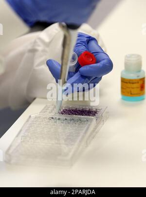Medical Biology Centre, Queens University Belfast Stock Photo - Alamy