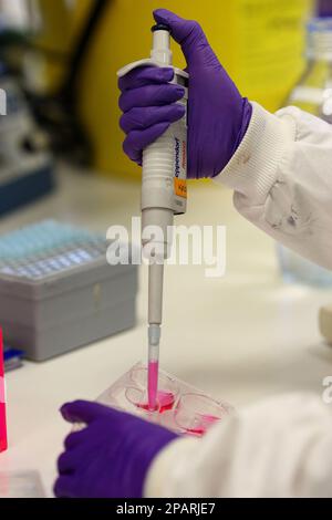 Medical Biology Centre, Queens University Belfast Stock Photo - Alamy