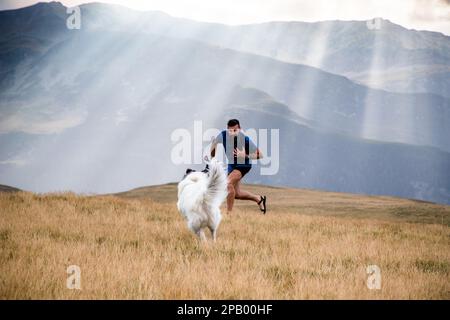 Man and dog trekking in high mountains Stock Photo - Alamy