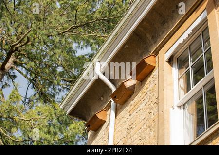 Swift nest boxes on a house, UK Stock Photo - Alamy