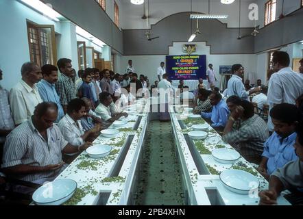 Cardamom auction in cardamom processing and marketing company ltd at ...