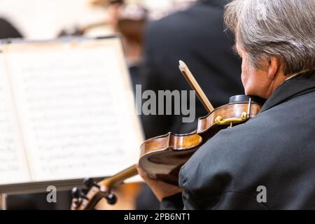 Professional symphonic string orchestra performing on stage and playing ...