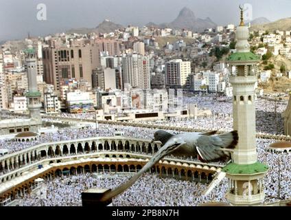 Mecca , Saudi Arabia , 13 Jan 2023: Makkah Spring after raining season ...
