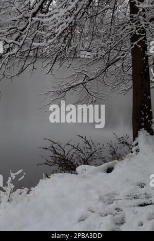 Trees in winter in Northeast Ohio Stock Photo - Alamy