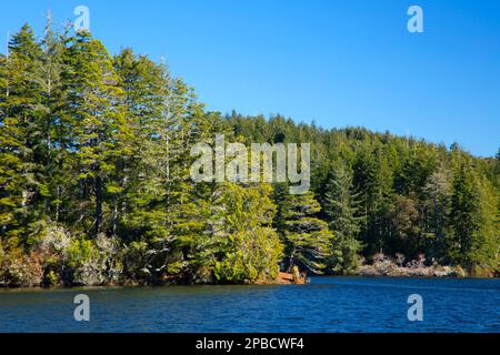 Eel Lake, William Tugman State Park, Oregon Stock Photo - Alamy