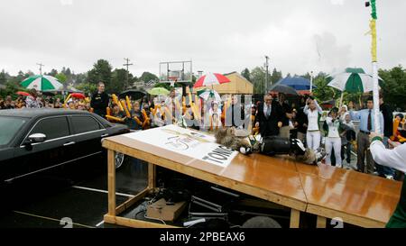 Squatch, the Seattle SuperSonics mascot, makes a ramp jump on in-line ...