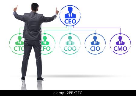 Illustration of organisation chart with the various executives Stock ...