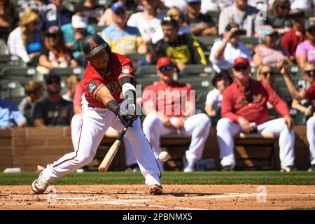 Arizona Diamondbacks catcher Gabriel Moreno (14) against the Tampa Bay ...