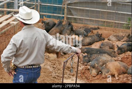 Bill Griffin from Calvin, La., looks at the pen of his hogs at Uncle ...